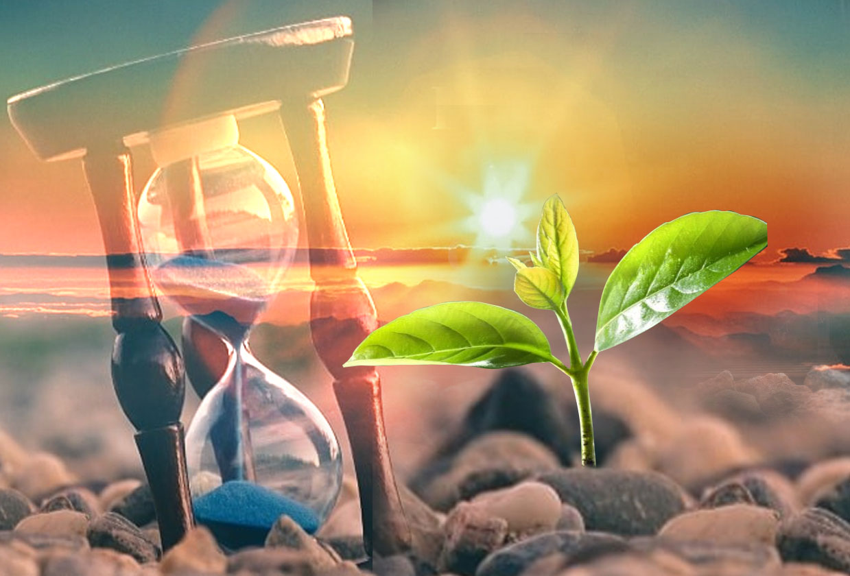 Make the Most of Every Opportunity! | FAOGW